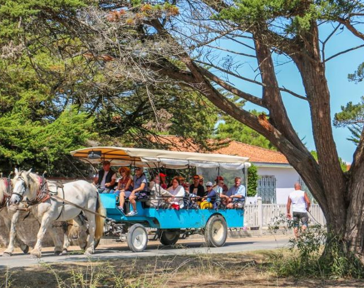 CAP SUR L'ÎLE D'AIX | STI CENTRE